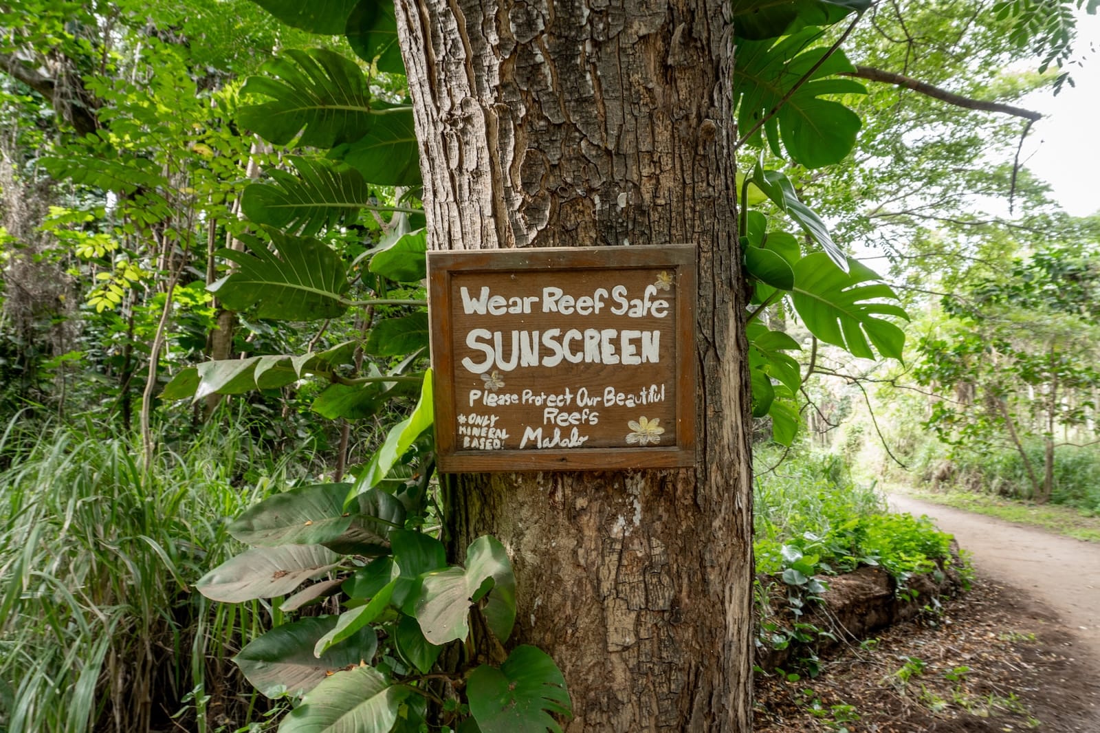 Snorkeling At Honolua Bay - Nāpili Village Hotel